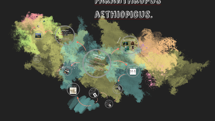Paranthropus aethiopicus by Joe Mejía on Prezi