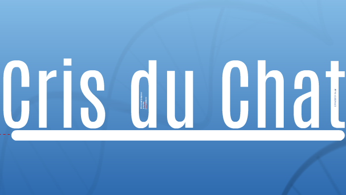 Cris du Chat by Alex Benoit