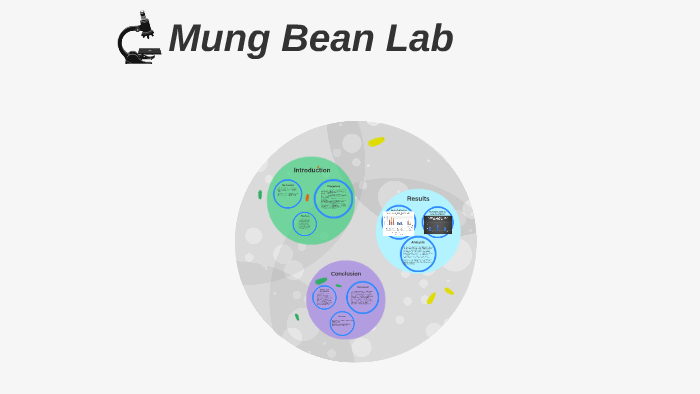 Mung Bean Lab by Olivia Harris on Prezi