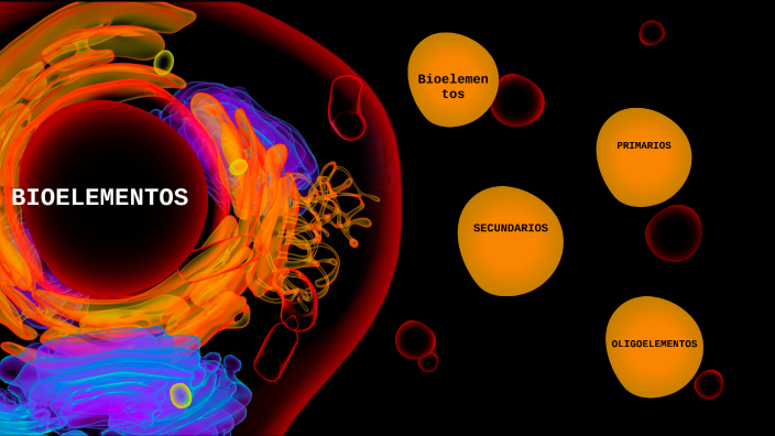 BIOELEMENTOS: Primarios,secundario,oligoelementos y electrolitos by ...