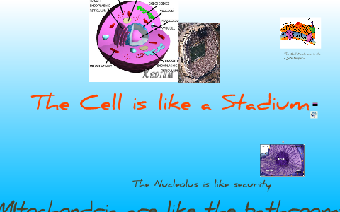 Animal Cell Analogy Project by caleb ellis on Prezi