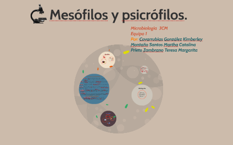 Mesófilos y psicrófilos. by Kimberley Blabla on Prezi