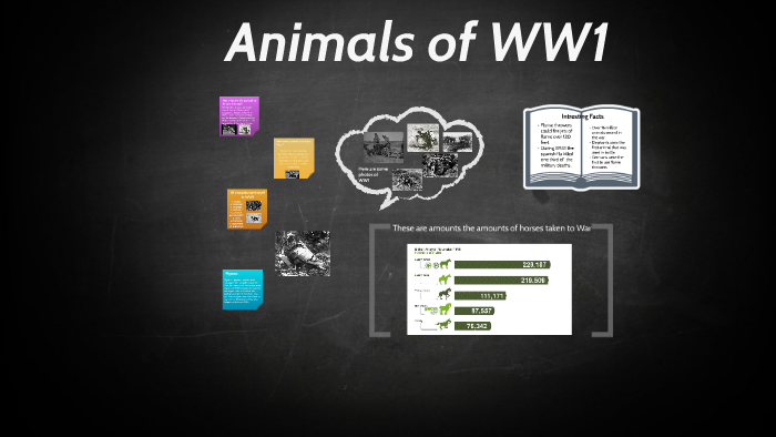Animals of WW1 by Zeba PBS on Prezi