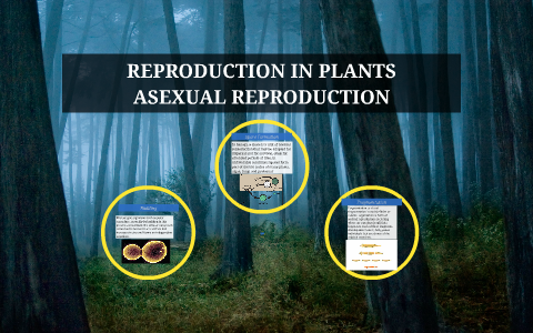 Reproduction in Plants by Nischal Rai