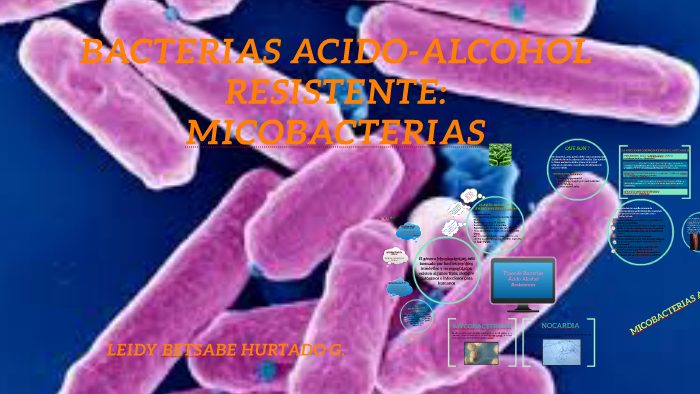 BACTERIAS ACIDO-ALCOHOL RESISTENTE: by leidy hurtado on Prezi
