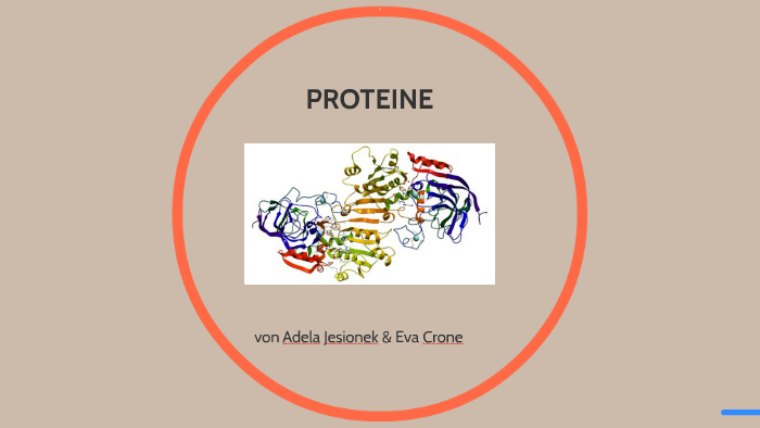 PROTEINE by Eva Crone on Prezi