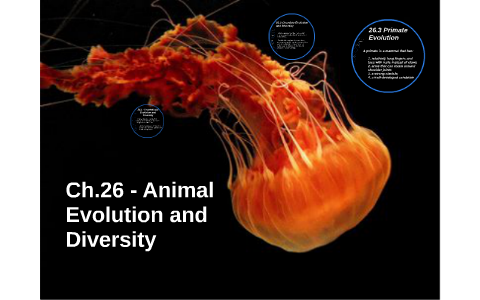 Ch.26 - Animal Evolution and Diversity by Joel Ferguson on Prezi