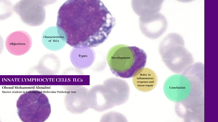 INNATE LYMPHOCYTE CELLS by Ohoud Alosaimi on Prezi