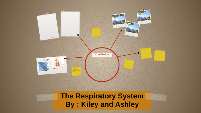 The Respiratory system by kiley ward on Prezi
