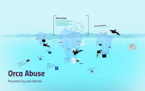 Orca Abuse by Christopherson Bechtel on Prezi