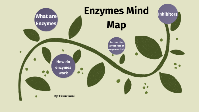 Enzymes Mind Map by Ekum Sarai on Prezi