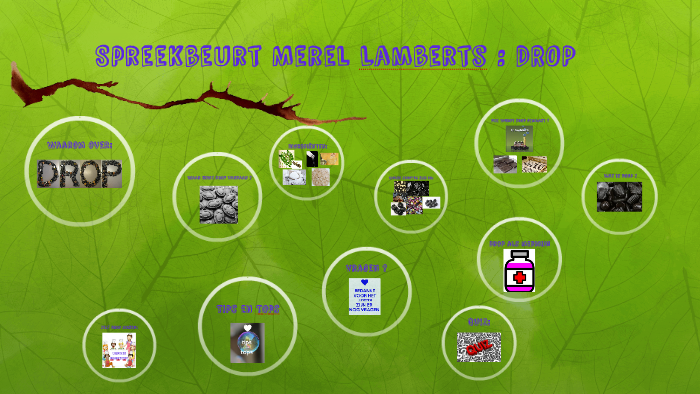 Spreekbeurt Merel Lamberts : DROP by Merel Lamberts on Prezi