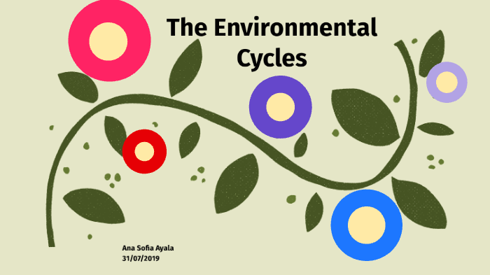 Cycle of environment by Ana Sofia Ayala Serna on Prezi