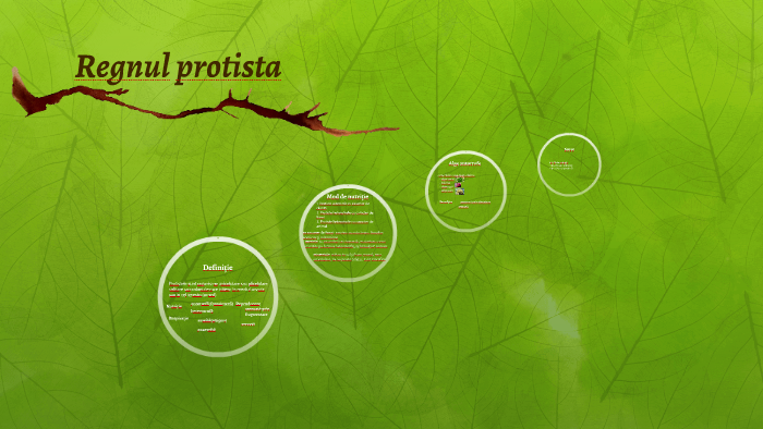 Regnul protista by Lucia Donosa on Prezi
