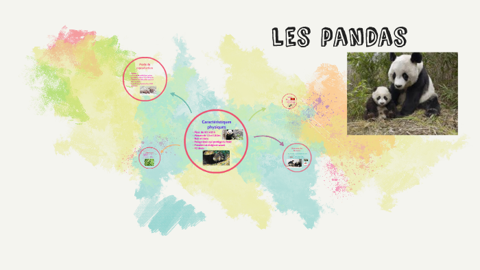 les pandas by Alice Bergeron