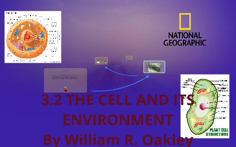 THE CELL AND ITS ENVIRONMENT by Ross Oakley on Prezi