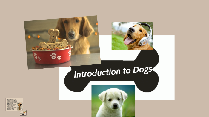 Introduction to Dogs by Carrie Barber on Prezi