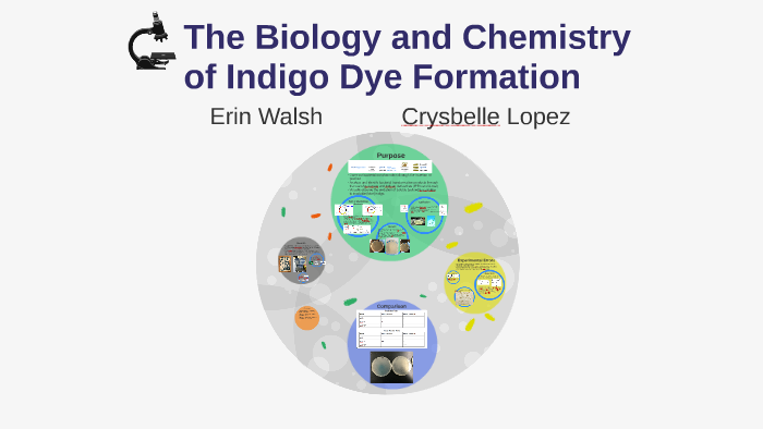 The Biology and Chemistry of Indigo Dye Formation by Crysbelle Lopez on ...