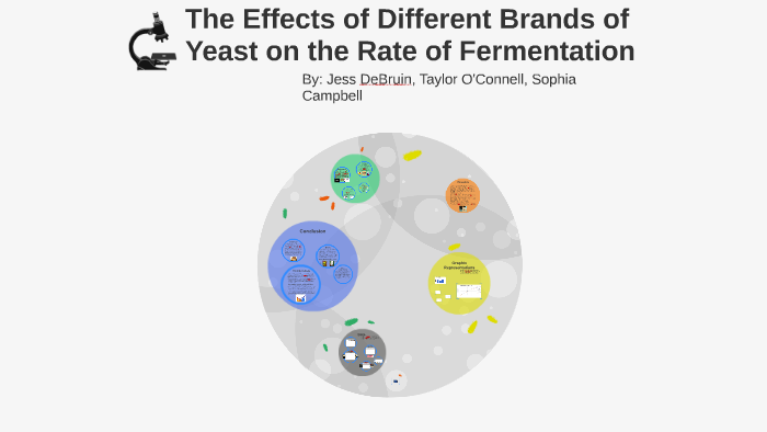 The Effects of Different Brands of Yeast on the Rate of Ferm by Jess D ...