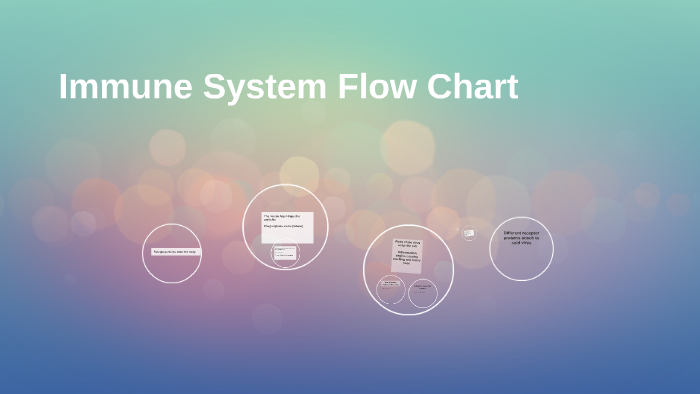 Immune System Flow Chart by Sami Wassen on Prezi