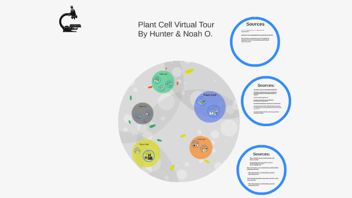Plant Cell Virtual Tour by Hunter O'Hotto on Prezi