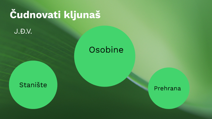 Čudnovati kljunaš by Josip Đurić Vadinjof on Prezi