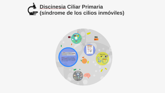 Discinesia Ciliar Primaria (síndrome de los cilios inmóviles by Alma ...