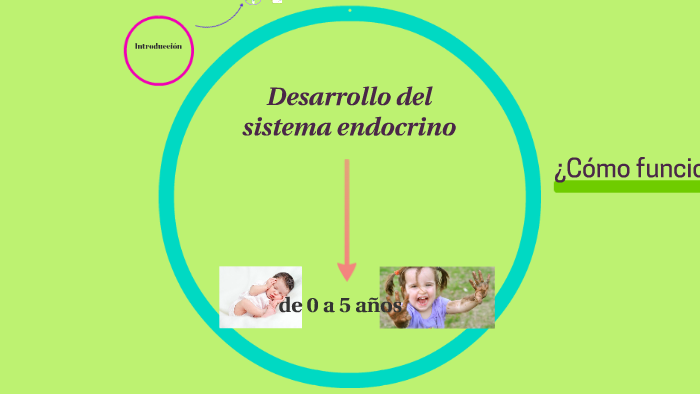 Desarrollo del sistema endocrino by daniela royo