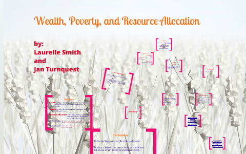 Wealth, Poverty, and Resource Allocation (Ethical Aspects) by Laurelle ...