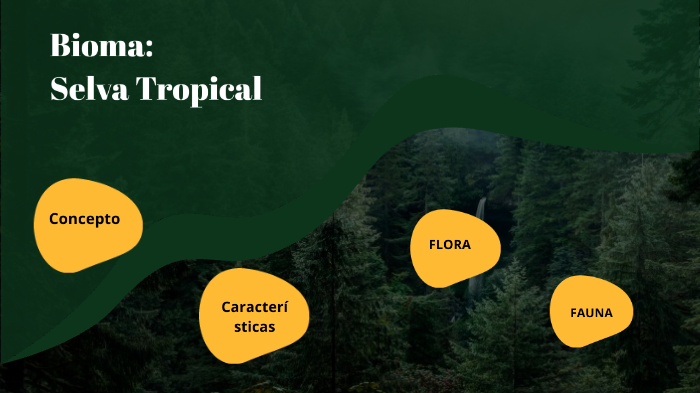 Bioma: Selva Tropical by Mirley Sangurima on Prezi