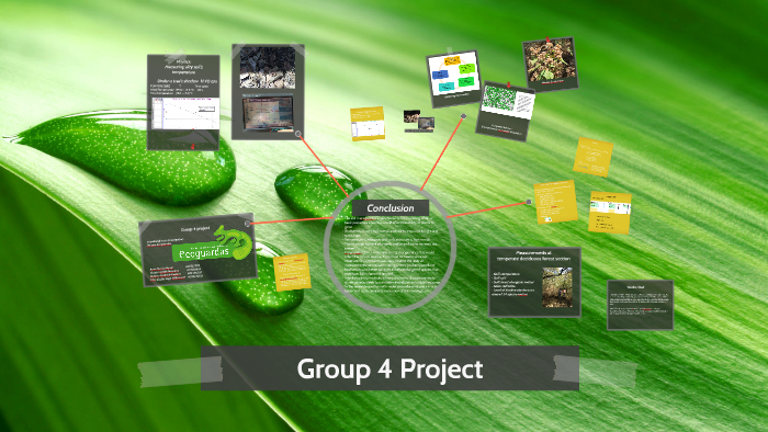Group 4 Project by Gise Vive