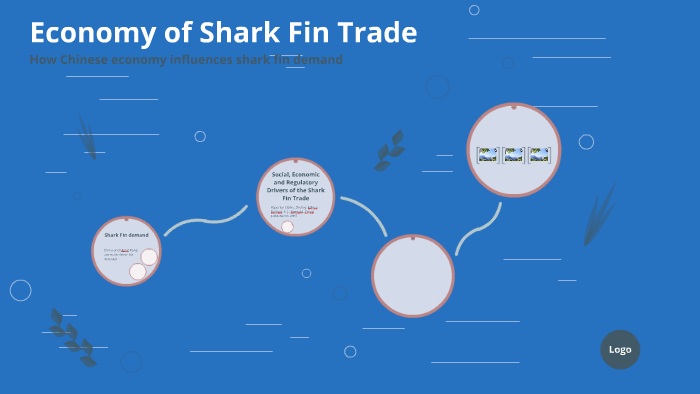 Economy of Shark Fin Trade by Alexa Egg on Prezi