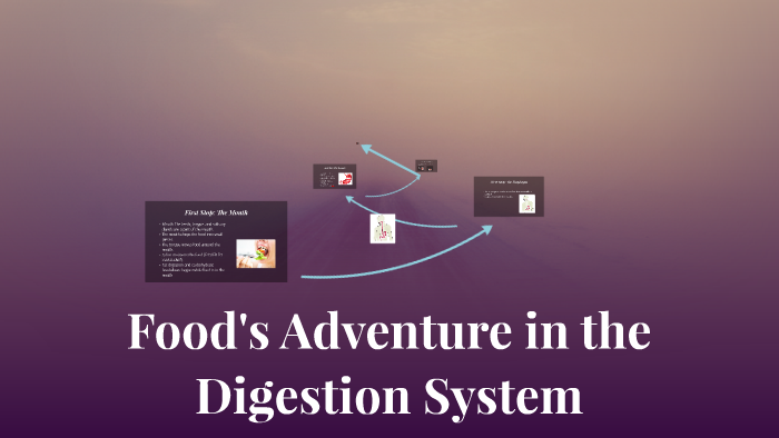 Food's Adventure in the Digestion System by Crystal Enga on Prezi