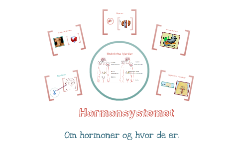 Hormonsystemet by Eira Kråbøl