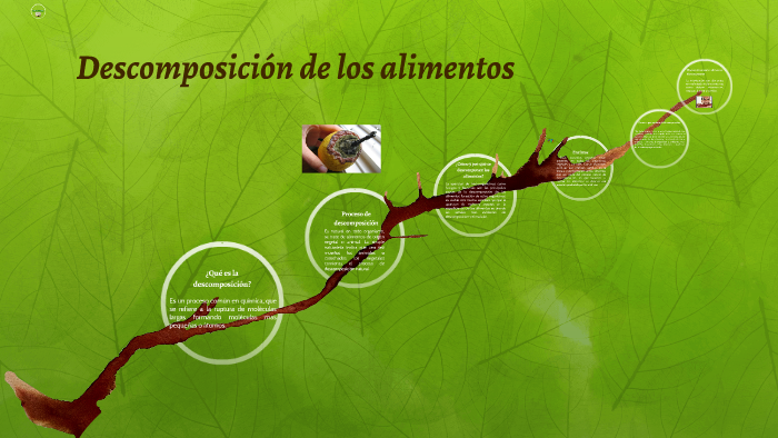 ¿Qué es la descomposición? by Fabi Gonzalez on Prezi