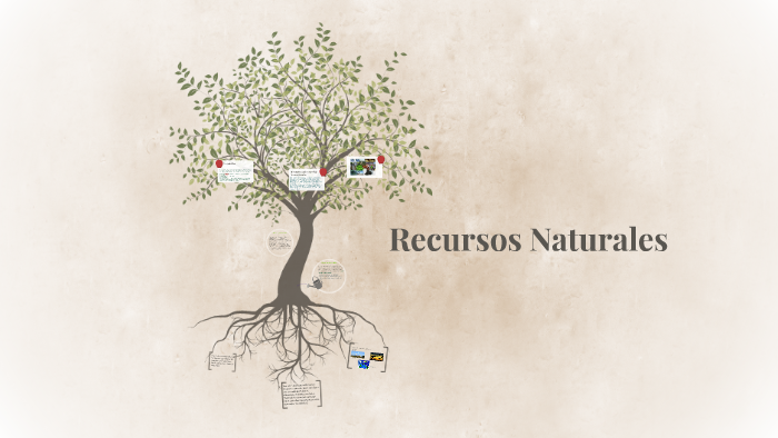Recursos Naturales en Panamá by jaymi concepcion on Prezi