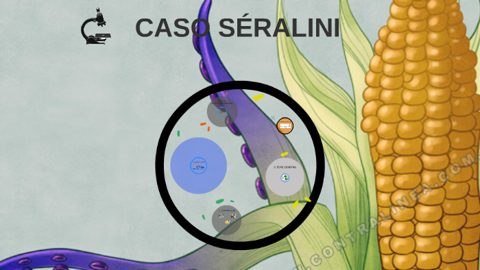 CASO SÉRALINI by sthefanny a on Prezi