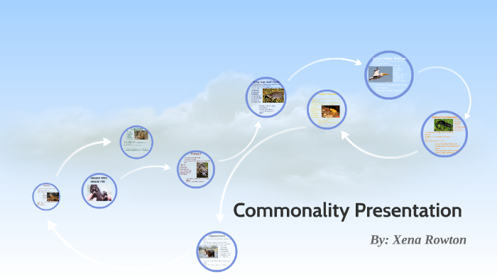 Commonality Presentation by Xena Rowton on Prezi