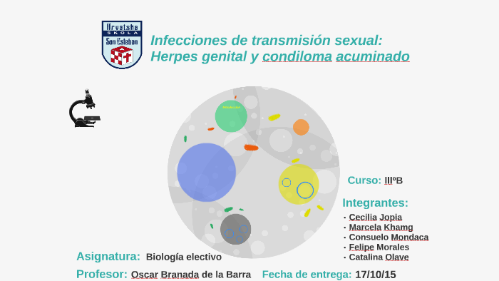 Infecciones de transmisión sexual: Herpes genital y condilom by ...