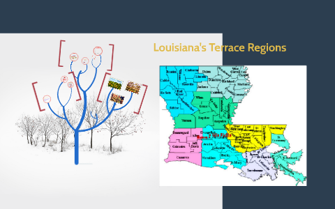 Louisiana's Terrace Regions by Byron Meeks on Prezi