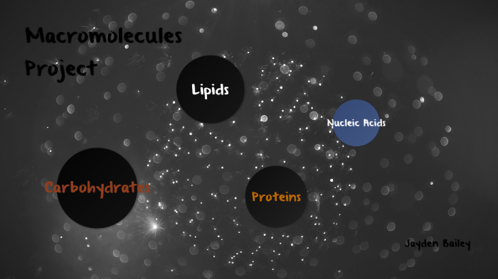 CRJ macromolecules project by Jayden Bailey