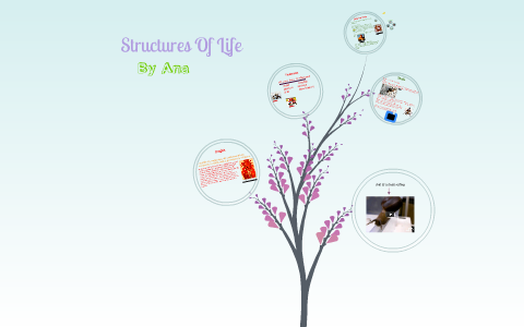 Ana Structures of life by Room 207isb on Prezi