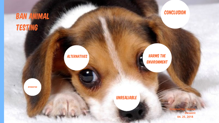 Ban Animal Testing by Venise Desaint on Prezi