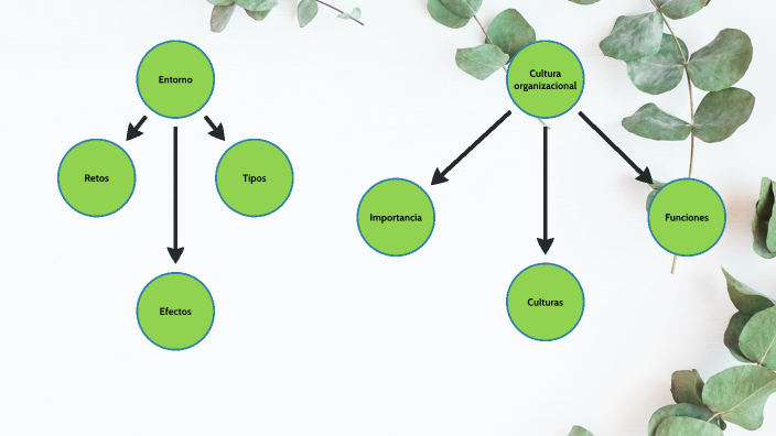 Entorno y cultura organizacional by Hector Escoto on Prezi