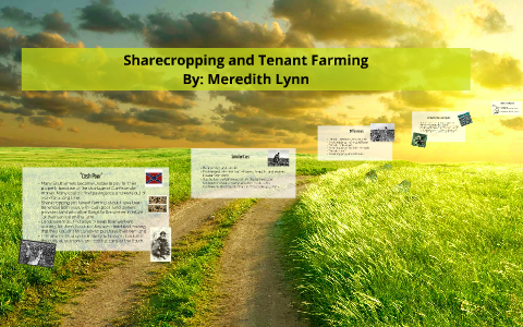 Sharecropping and Tenant Farming by Meredith Lynn on Prezi