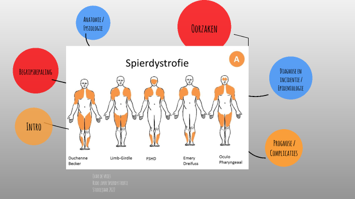 Spierdystrofie by Ivar de Vries on Prezi