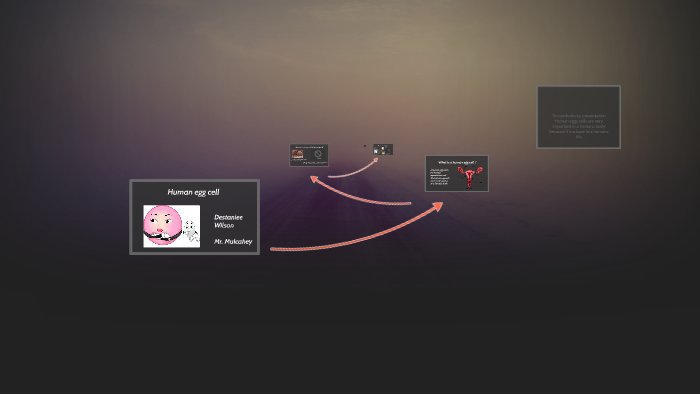 Human egg cells by Destanie Wilson on Prezi