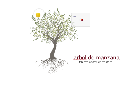 partes de la manzana by duvan mauricio valencia mosquera on Prezi