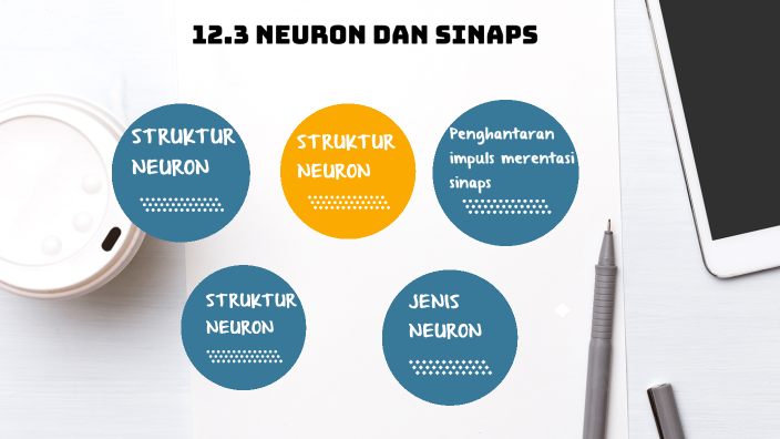 NEURON DAN SINAPS by ain nabiha on Prezi