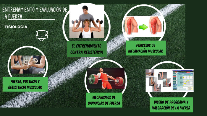 fisiología by Yenny Catherine ROCHA BAUTISTA on Prezi